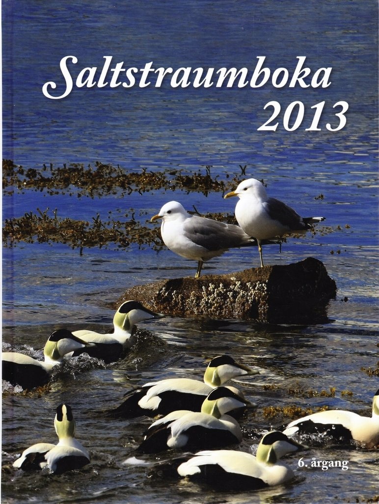 Saltstraumboka 2013